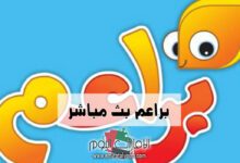 قناة ام بى سى ماكس بث مباشر mbc max - الإمارات اليوم